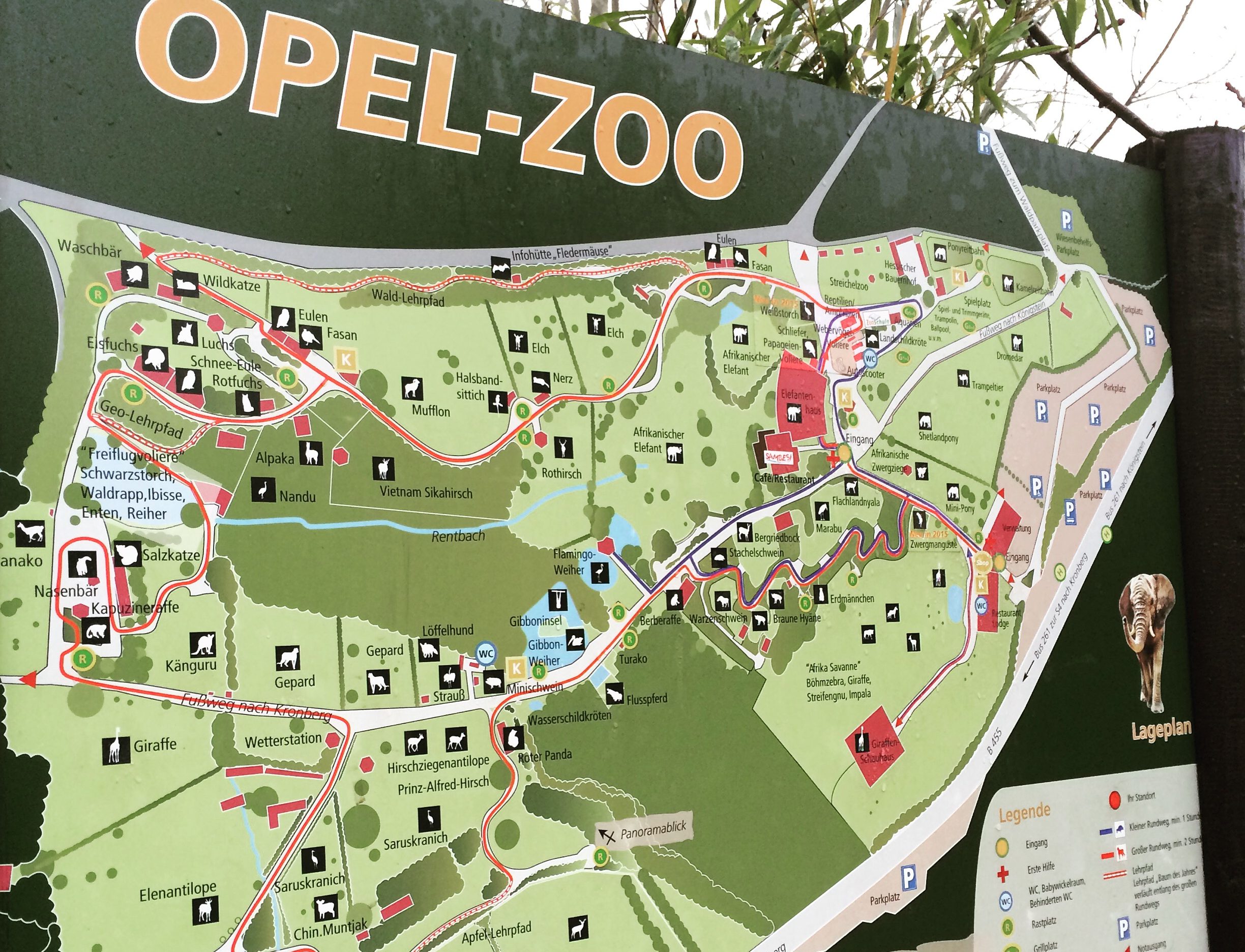 Opel Zoo near Kronberg – Living in Frankfurt